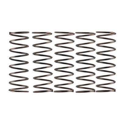 Freehub Pawl Springs – The Bike Lounge